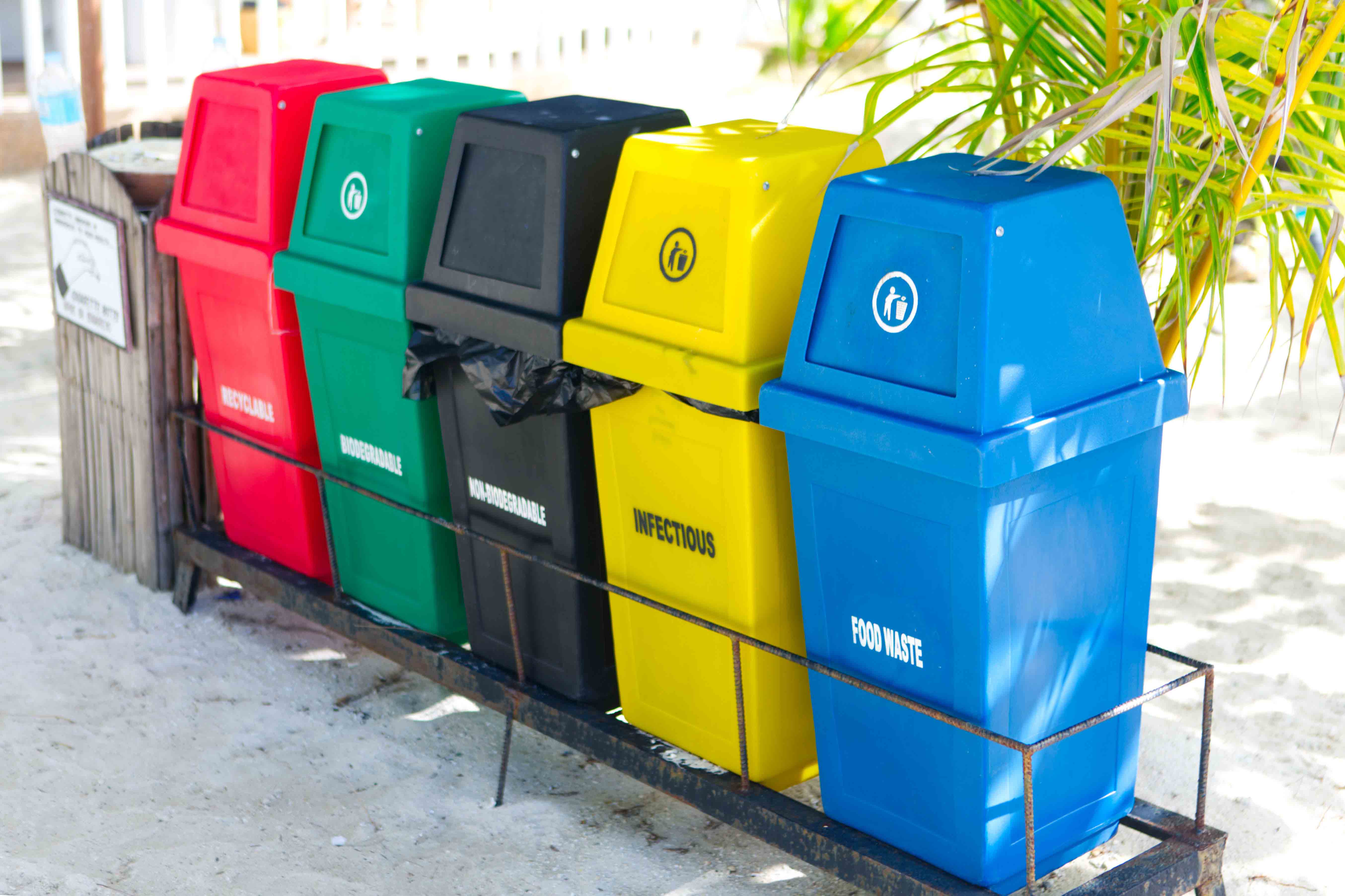 Sustainable Practices Articles - Strategies To Reduce Your Carbon ...